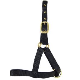 Nylon Turnout Cow Halter – Durable & Adjustable