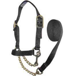 Deluxe Black Cow Show Halter – Triple-Ply Nylon with Lead