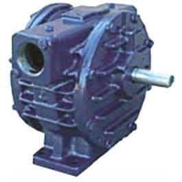 Rebuilt Masport M3 Vacuum Pump Head w/ Oiler