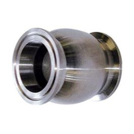 2" SS Ball Check Valve