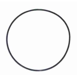 NuPulse Large O-Ring for CIP Assembly